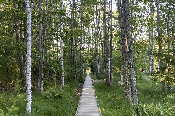 The Way Life Should Be: 4-hr, Private Guided Tour of Acadia NP. - Pricing and Value