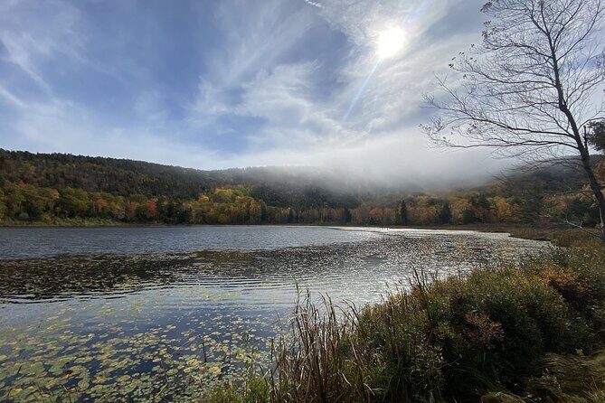 The Way Life Should Be: 4-hr, Private Guided Tour of Acadia NP. - Who This Tour Fits Best