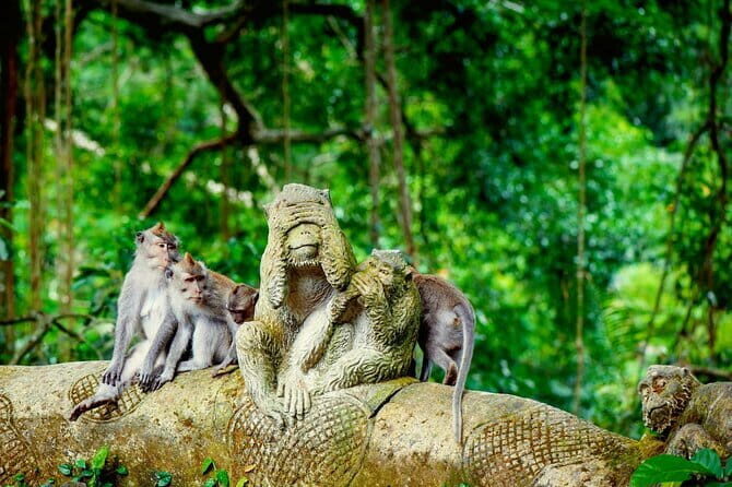 The Way To Explore Ubud with All Inclusive - An In-Depth Look at the Ubud All-Inclusive Tour