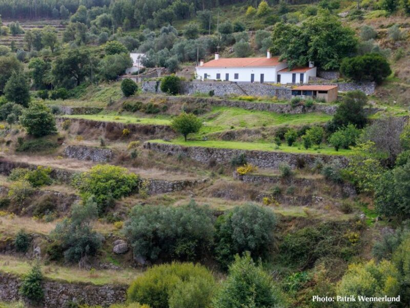 The western wild Algarve with a luxury picnic and extra Wow - Introduction: Why This Tour Might Be Your Best Algarve Experience