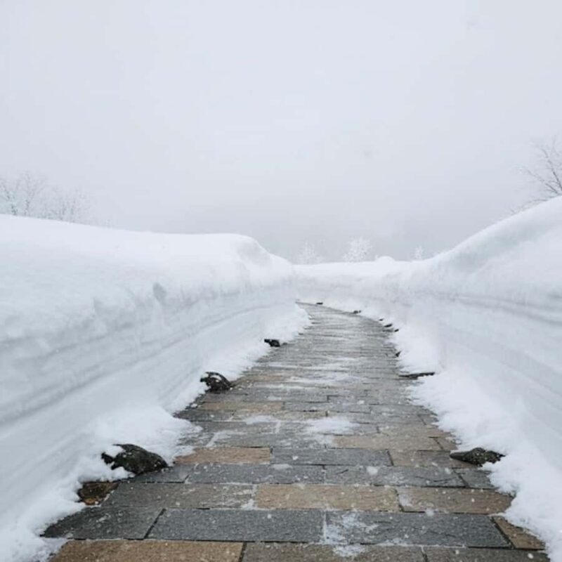 The White Alps Route: Private Nagano Escape from Tokyo - Final Thoughts