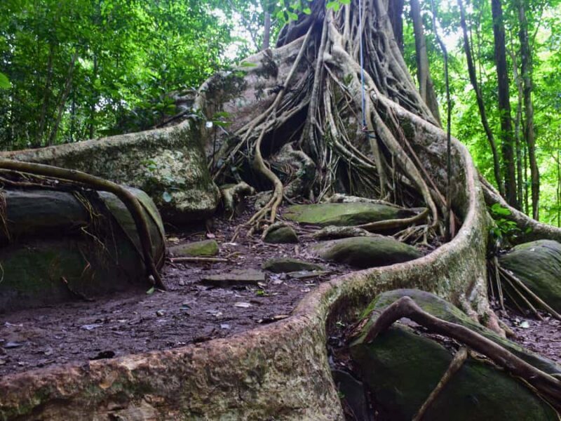 The Wilds: Khao Yai Trekking and Stargazing 2-Day Tour - Key Points