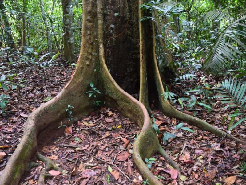 The Wilds: Khao Yai Trekking and Stargazing 2-Day Tour - Accommodation & Logistics