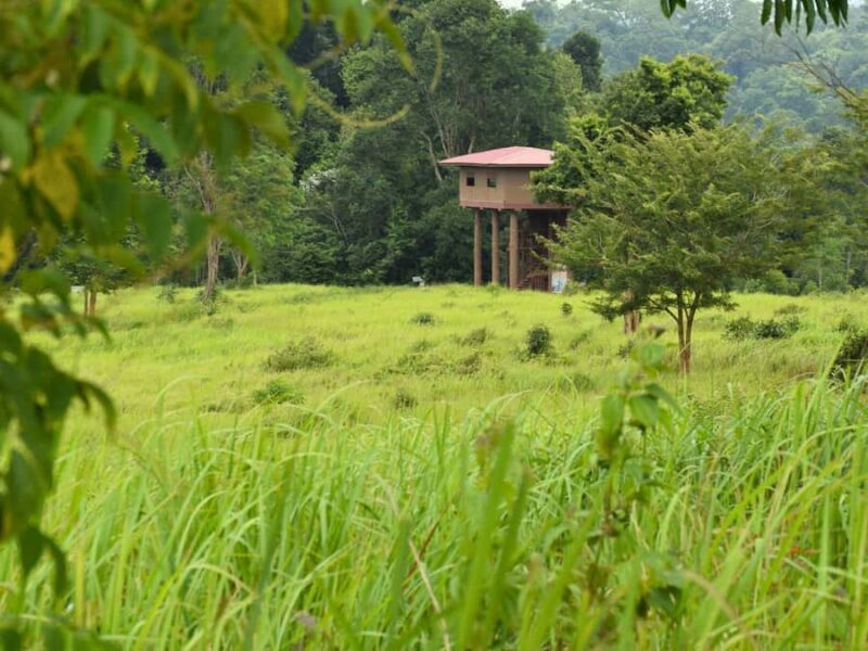 The Wilds: Khao Yai Trekking and Stargazing 2-Day Tour - Value and Cost