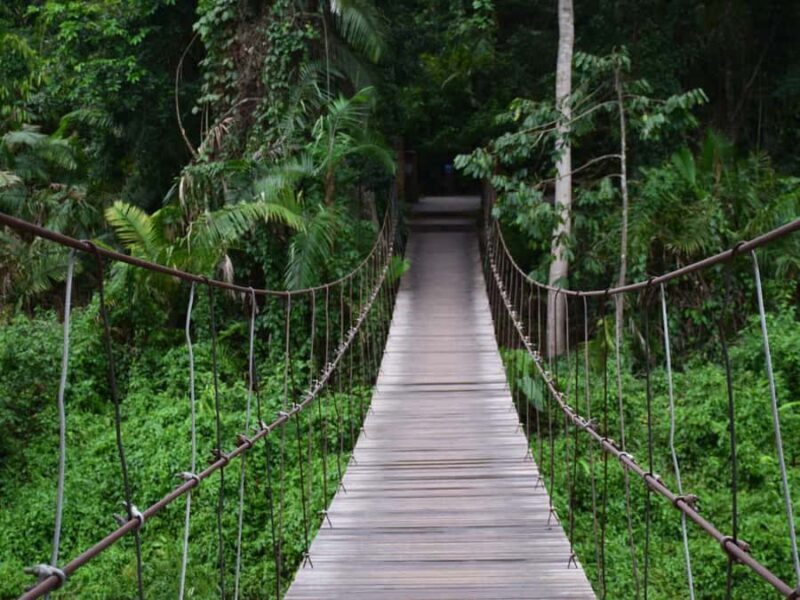 The Wilds: Khao Yai Trekking and Stargazing 2-Day Tour - Who Will Love This Tour?