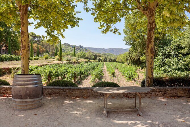 The wines of the Luberon, the Château de Lourmarin & Bastide du Laval olive oil - Final Stop: Château la Canorgue and the Luberon Wines