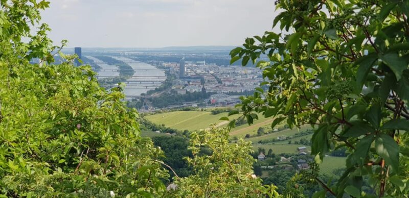 The Wonders of Vienna in a full day - private car tour - Final Thoughts