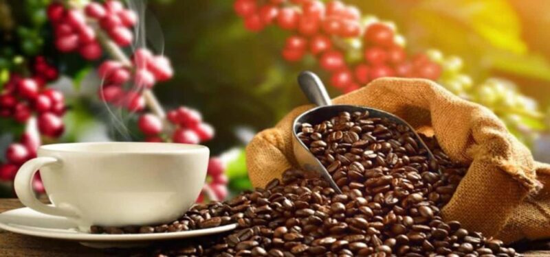 The World of Latte Art: Coffee from the Chiapas Creamy Heart - Introduction to the Latte Art Tour