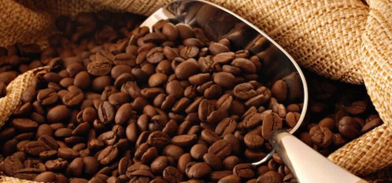 The World of Latte Art: Coffee from the Chiapas Creamy Heart - FAQ