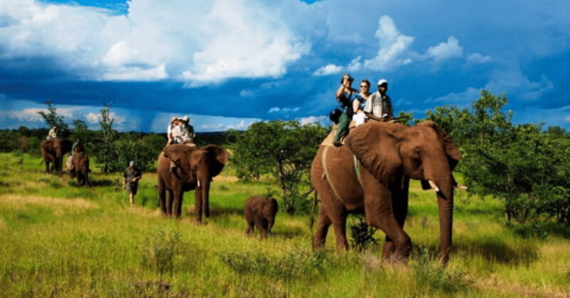 TheActivity that won the Best Tourist Attraction in SriLanka - Key Points