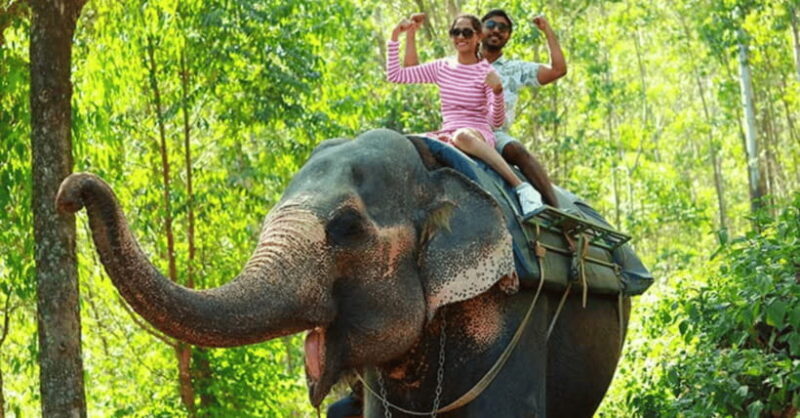 TheActivity that won the Best Tourist Attraction in SriLanka - Itinerary Breakdown: What to Expect and How It Adds Up