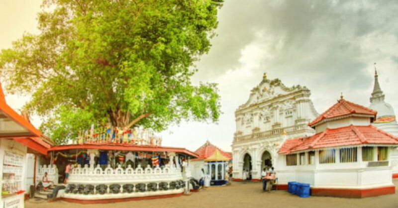 TheActivity that won the Best Tourist Attraction in SriLanka - The Sum Up: Who Will Love This Tour?