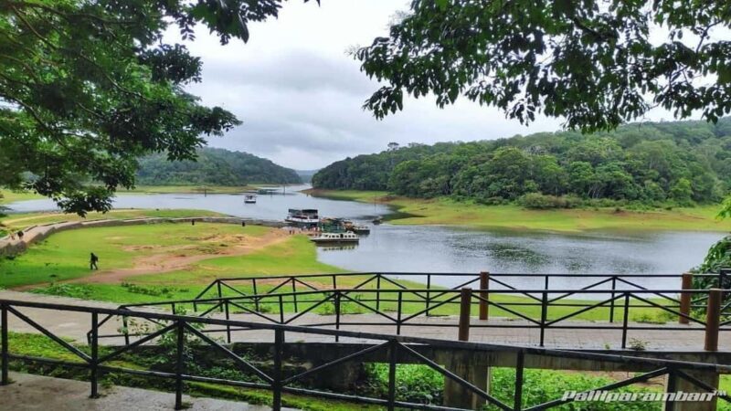 Thekkady: Vagamon Hill Station Day Trip with Breakfast - Frequently Asked Questions