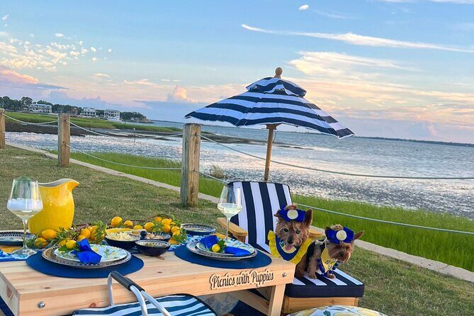 Themed Luxury Picnic - A Closer Look at the Experience