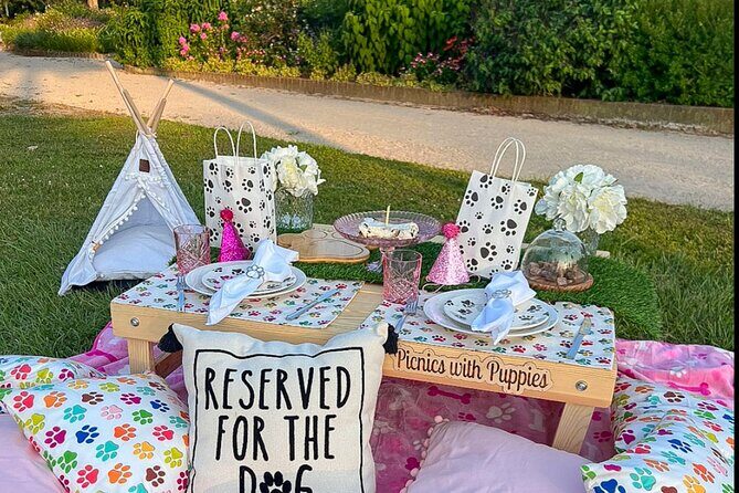 Themed Luxury Picnic - Value for Money