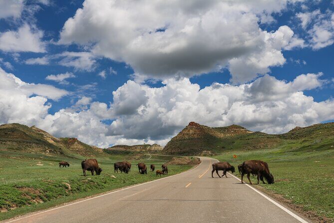 Theodore Roosevelt National Park Self-Guided Audio Tour - The Itinerary — A Closer Look