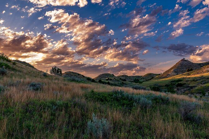Theodore Roosevelt National Park Self-Guided Audio Tour - The Sum Up