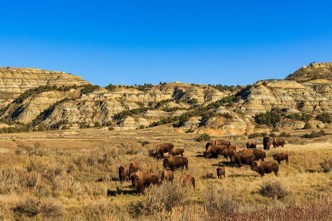 Theodore Roosevelt National Park Self-Guided Driving Audio Tour - Who Will Enjoy This Tour?
