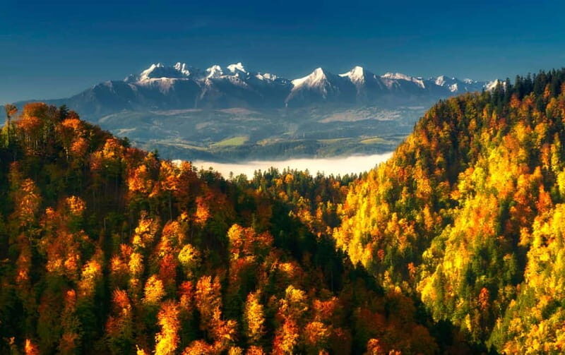 Thermal Baths and Zakopane Day Trip with Cable Car - An In-Depth Look at the Experience
