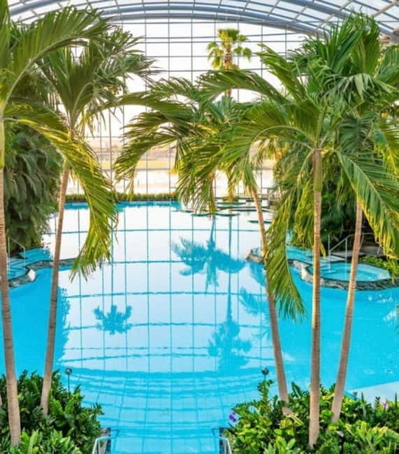 Therme Bucharest - Private Transfer and 3 Hours Tickets - The Comfort of Private Transfer