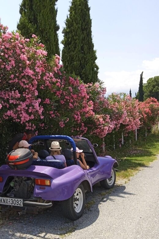 Thessaloniki : Buggy Safari "Discover Olympus" - Why This Tour Matters for Your Trip