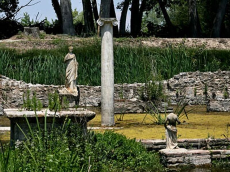 Thessaloniki: Dion, Mount Olympus, and Litochoro Village - Key Points