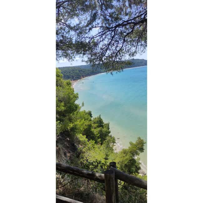 Thessaloniki: Halkidiki Beach-Hopping & Swimming - FAQ: Your Practical Questions Answered
