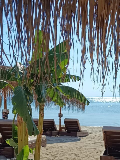 Thessaloniki: Halkidiki Beach-Hopping with Swimming - The Sum Up