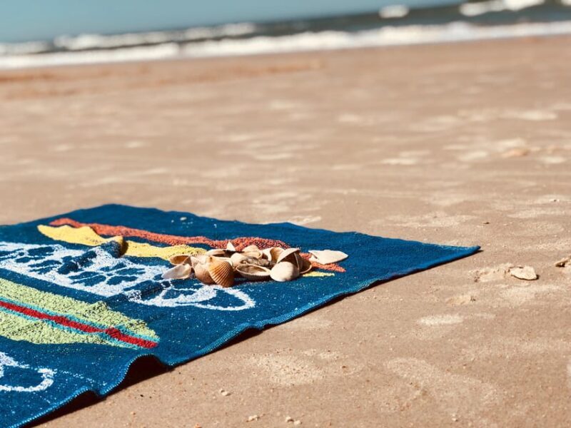 Thessaloniki: Panoramic Mount Athos and beach day cruise - Key Points