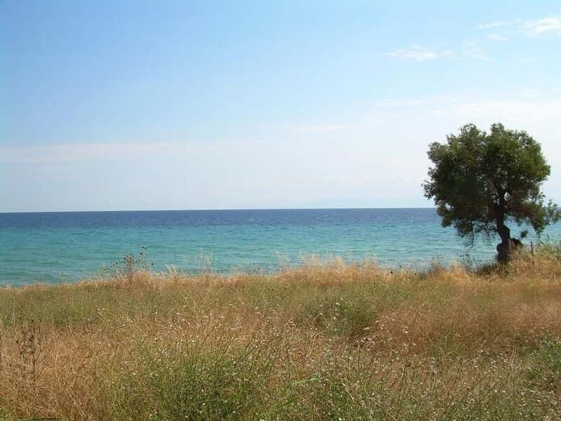 Thessaloniki: Petralona Cave & Nea Potidea Day Trip - Discovering the Petralona Cave