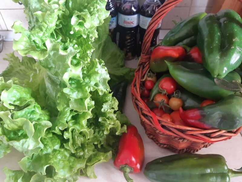 Thessaloniki: Private Greek Cooking Class and Meal at a Farm - FAQ