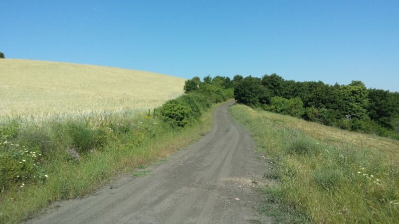 Thessaloniki: Private Mountain and Beaches SUV Safari - FAQ
