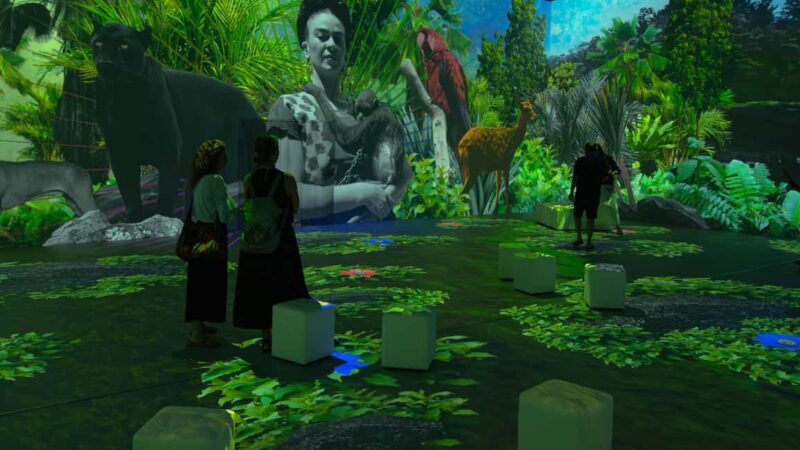 Thessaloniki: Ticket for Frida Kahlo Beyond the Icon Immersive Experience - A Closer Look at the Frida Kahlo Beyond the Icon Immersive Experience in Thessaloniki