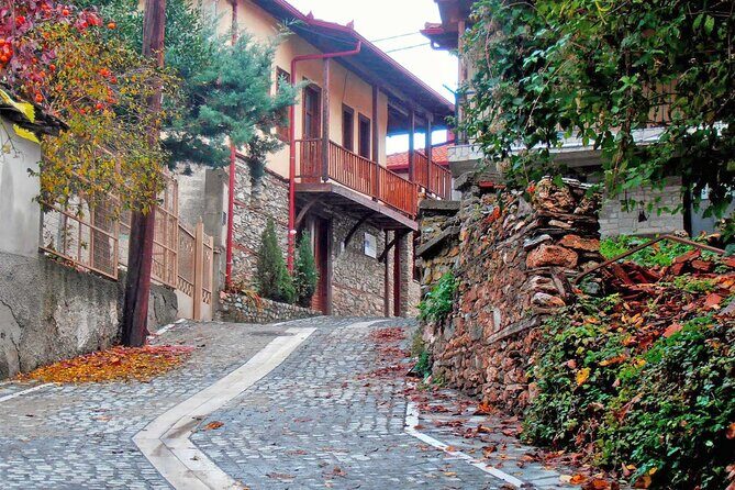 Thessaloniki to Naoussa, Wine Tasting Tour  Private Day Trip - An In-Depth Look at the Thessaloniki to Naoussa, Wine Tasting Tour