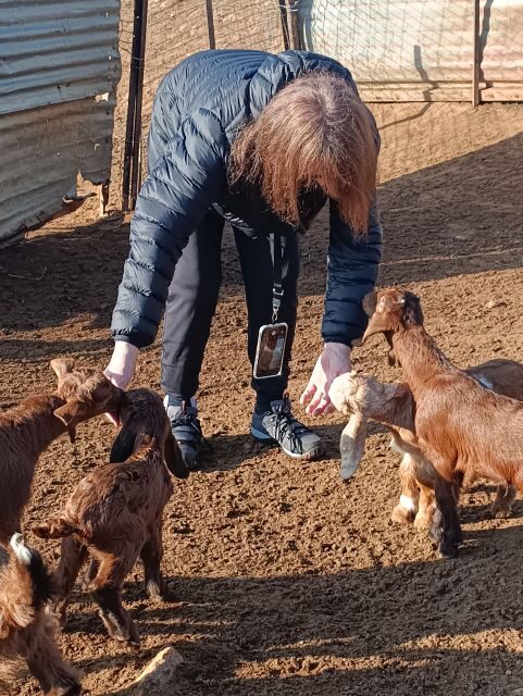 Thessaloniki: Visit a Farm and a traditional Village - Practical Tips for Travelers