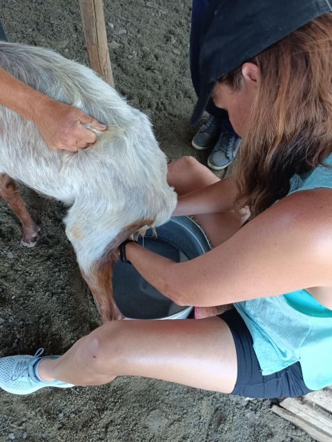 Thessaloniki: Visit a Farm and a traditional Village - Authentic Hospitality and Knowledge