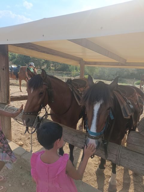 Thessaloniki:Horse Riding in a farm - The Scenic 40-Minute Horseback Ride