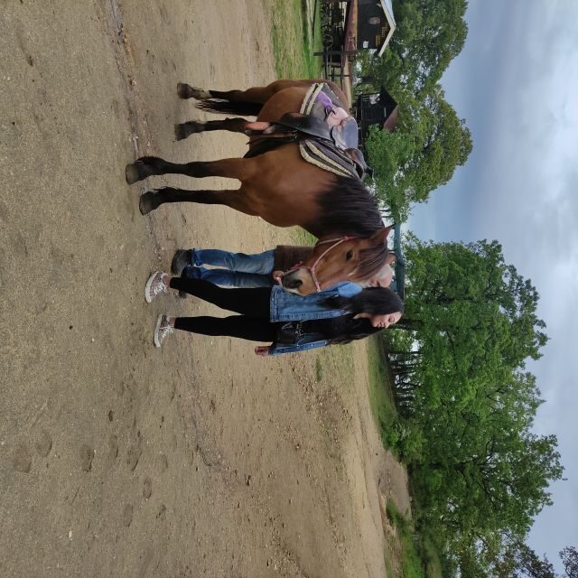 Thessaloniki:Horse Riding in a farm - The Farm Experience: A Personal Touch