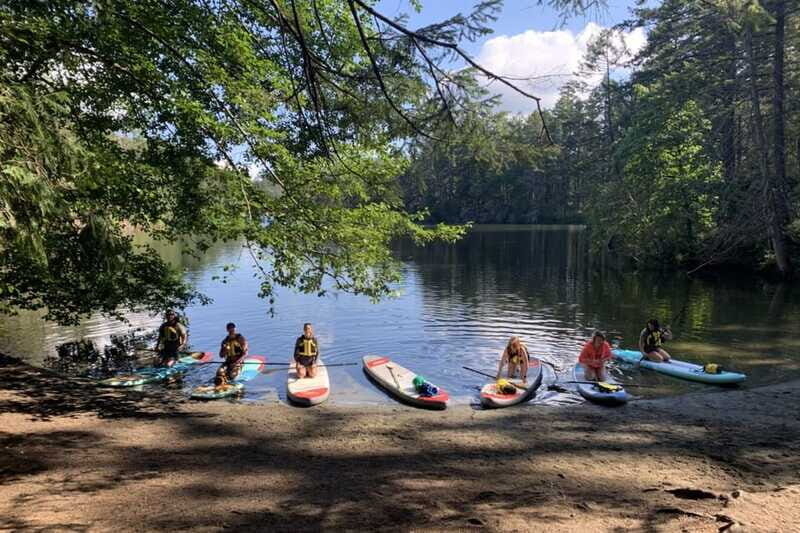Thetis Lake: Paddle Board Tour with Gear Included - The Itinerary in Detail