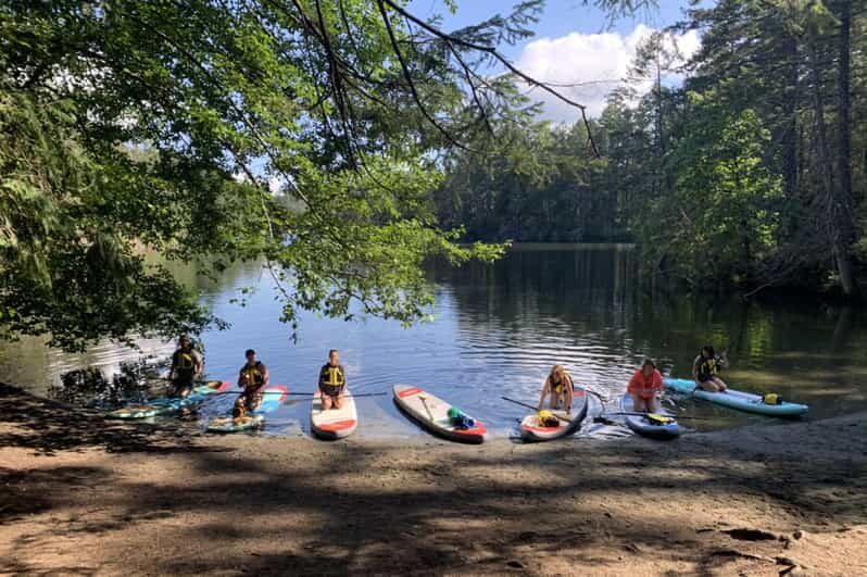 Thetis Lake: Paddle Board Tour with Gear Included - Additional Practical Details