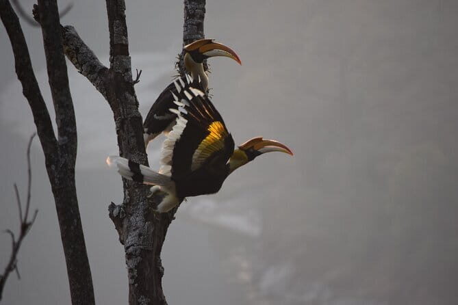 Thimphu City Tour - Key Points