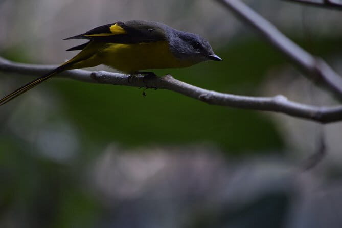 Thimphu City Tour - A Complete Breakdown: What to Expect from the Thimphu City Tour