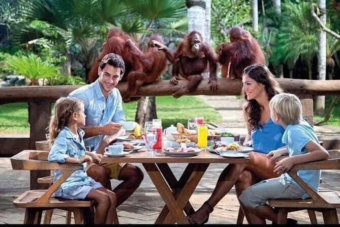 Things to do - Breakfast with Orang Utan - Introduction: A Unique Blend of Wildlife and Culture