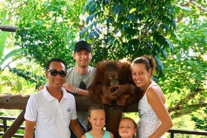 Things to do - Breakfast with Orang Utan - The Full Experience: What You Can Expect