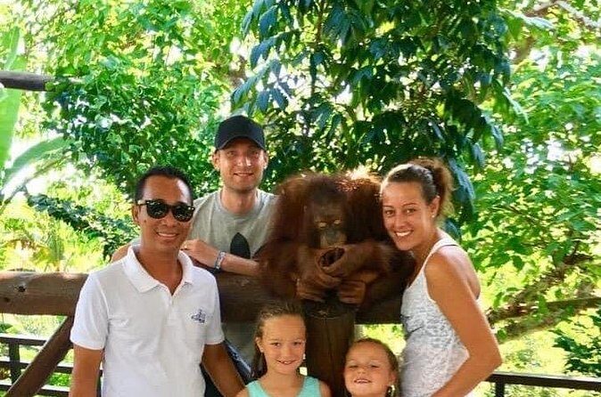 Things to do - Breakfast with Orang Utan - Practical Tips for Travelers