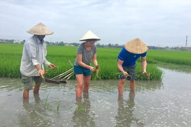 Things to Do in Hoi An - Hoi An Countryside Tour - An In-Depth Look at the Hoi An Countryside Tour