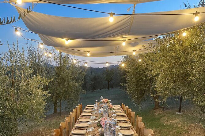 Think of a romantic meal in the Olive Trees shade, accompanied by Tuscan wines! - The Experience in Detail