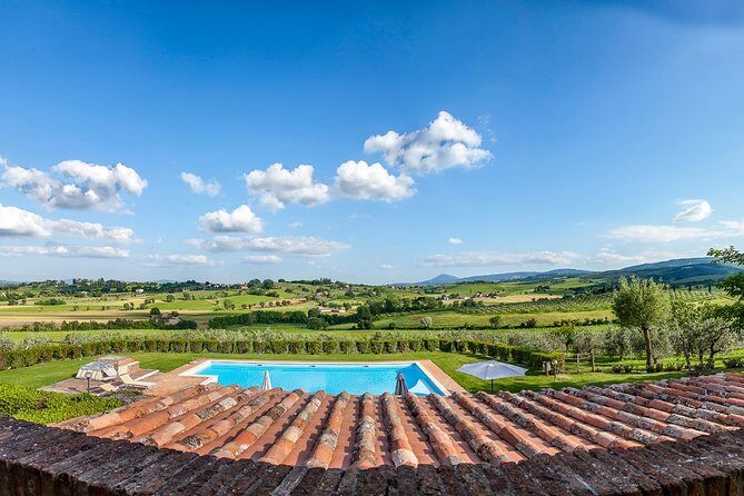 Think of a romantic meal in the Olive Trees shade, accompanied by Tuscan wines! - Who Will Love This Tour?