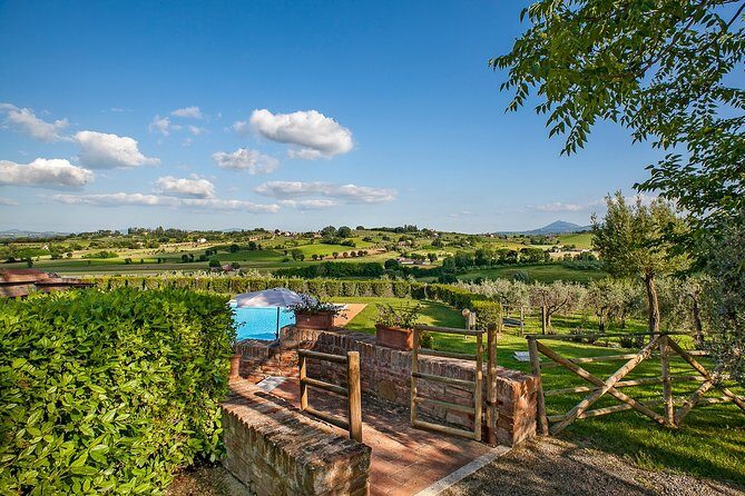 Think of a romantic meal in the Olive Trees shade, accompanied by Tuscan wines! - Frequently Asked Questions