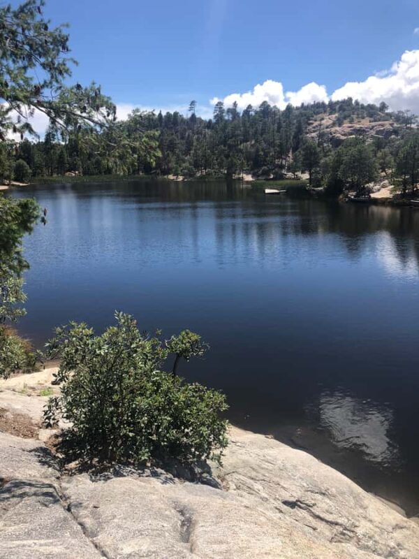 This guid tour lets the customers experience 4 bio zones. - Key Points